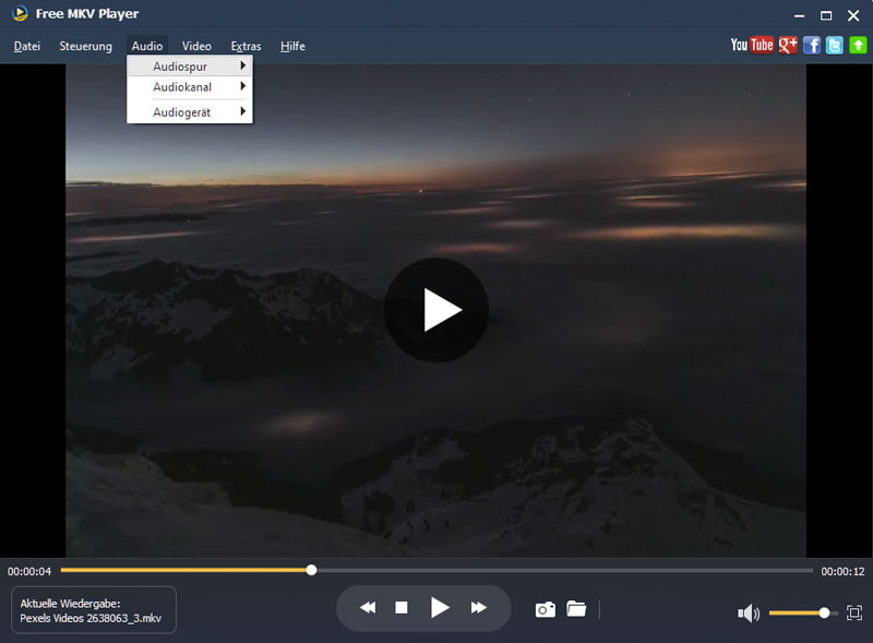 Vielen Dank für die Installation von Aiseesoft Free MKV Player